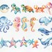 Cute Sea Animals Underwater Ocean Fish Jellyfish Shark Whale Diver Sea ...