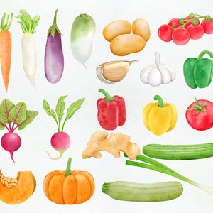 Fresh Vegetables Summer Assorted Vegetable Vegetarian Farm Healthy Food ...