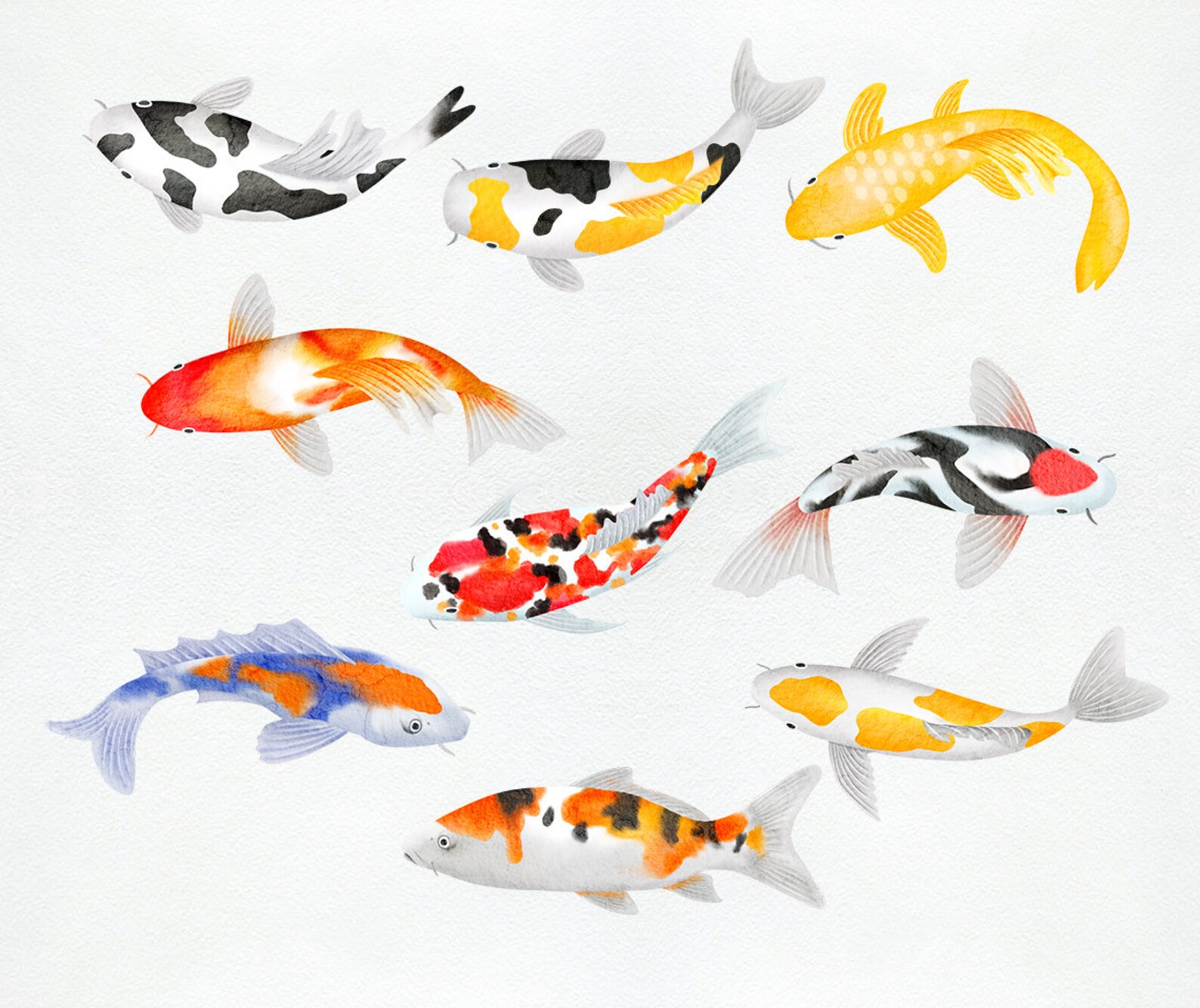 Koi Fish Japanese, Asian Koi Fish Painting Artwork, Colorful Fish in ...