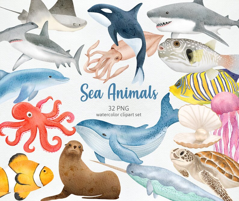 Sea Animals Undersea World Summer Nautical Fish Sea Creatures Under the ...
