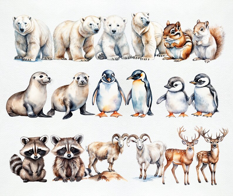 Winter Animals, Winter Holiday Polar Bear, Penguin, Mountain Goat, Owl ...
