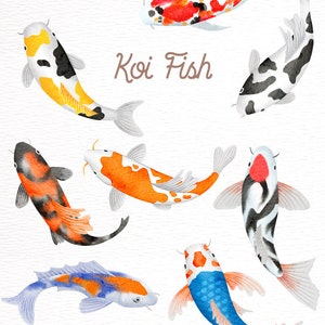 Koi Fish Japanese, Asian Koi Fish Painting Artwork, Colorful Fish in ...