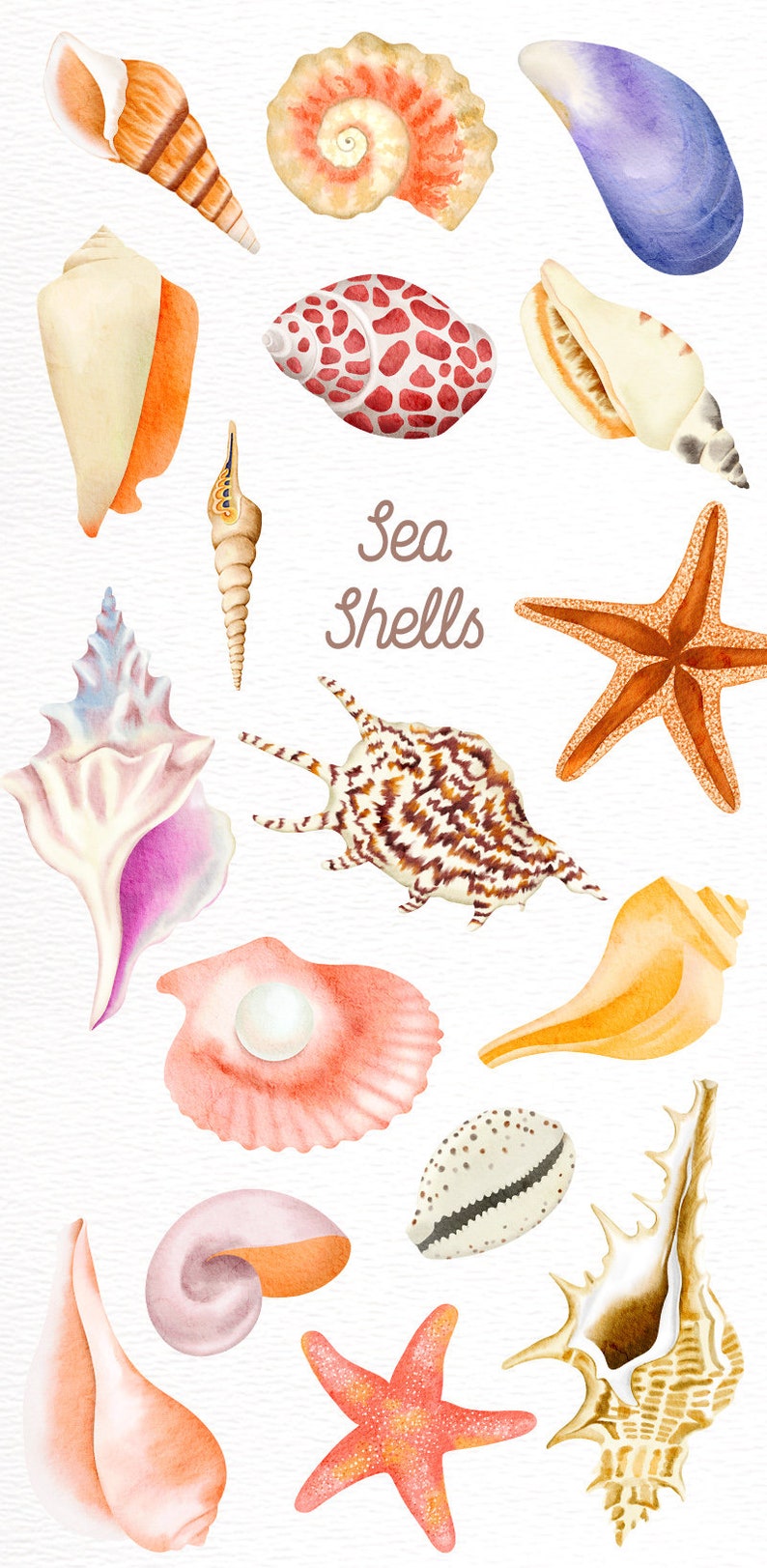 Sea Shell Summer Beach Ocean Shells Paper Craft Starfish Sea Snail ...