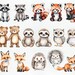 Baby Animal Woodland, Cute Animals Bear Owl Racoon Fox Sloth Rabbit ...