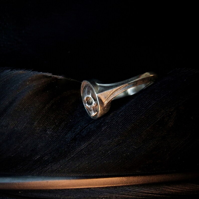 Memento Mori Dark Aesthetic Gothic Signet Ring - Etsy