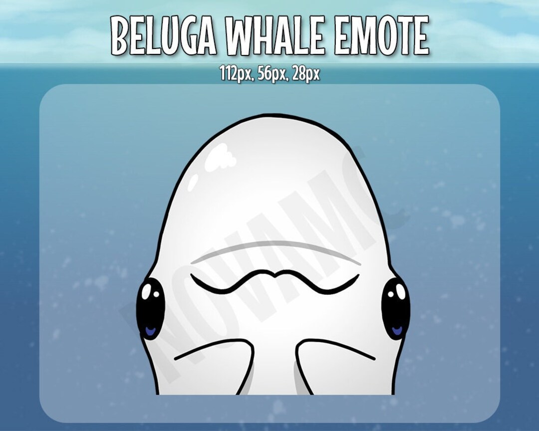 Beluga Whale Emote - Etsy