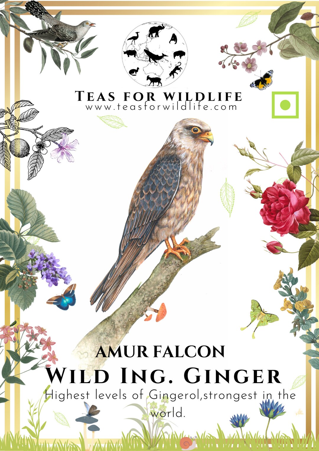 Ginger Dry Slices World Strongest Ginger Loose Herbal Tea - Etsy