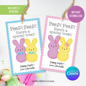 Sweet Treat Easter Peep Bunny Basket Printable Gift Tag, Editable Cute ...