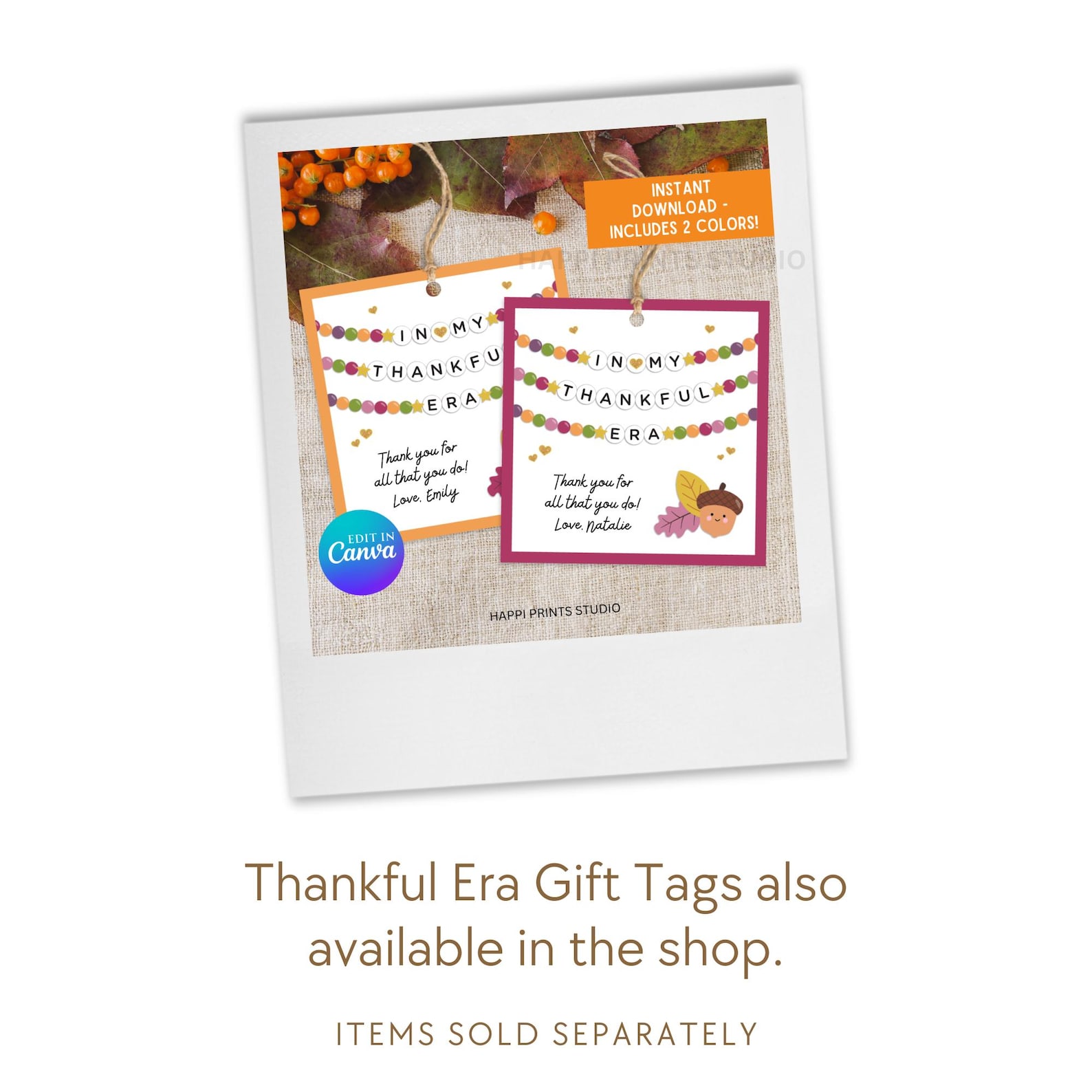 In Our Thankful Era Friendship Bracelet Bulletin Board Kit ...