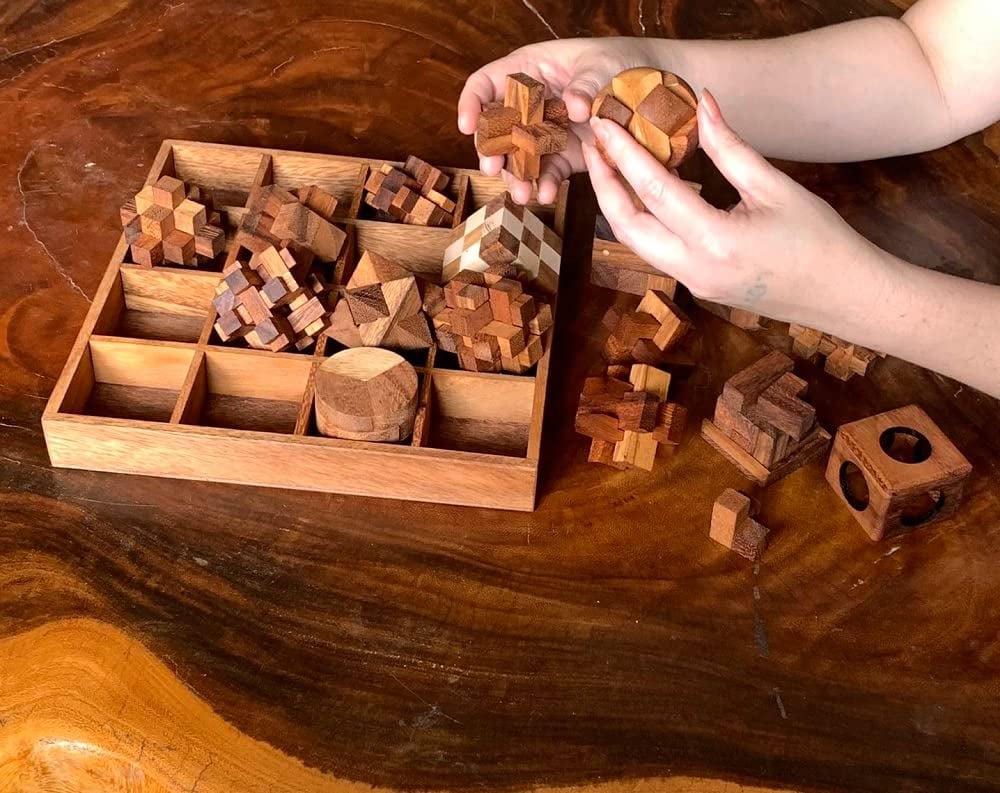 16 Wooden Puzzle, Wooden Brain Puzzles for Kids & Adult Challenge ...