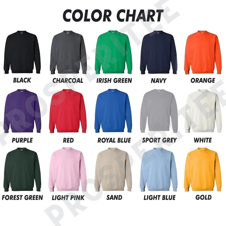 In My Color Guard Era Sweatshirt, Color Guard Sweatshirt, Girls Coach ...