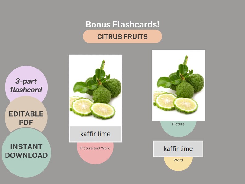 12 Citrus Fruits Flashcards + Right Brain Flashcards + Nomenclature ...