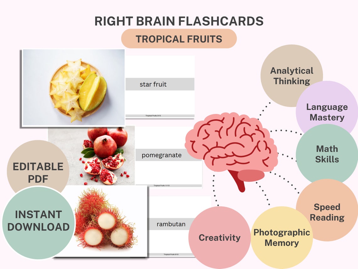 12 Tropical Fruits Flashcards Right Brain Flashcards - Etsy