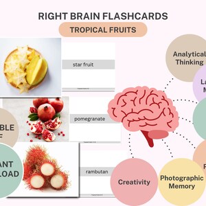 12 Tropical Fruits Flashcards + Right Brain Flashcards + Nomenclature ...