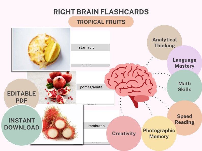 12 Tropical Fruits Flashcards + Right Brain Flashcards + Nomenclature ...