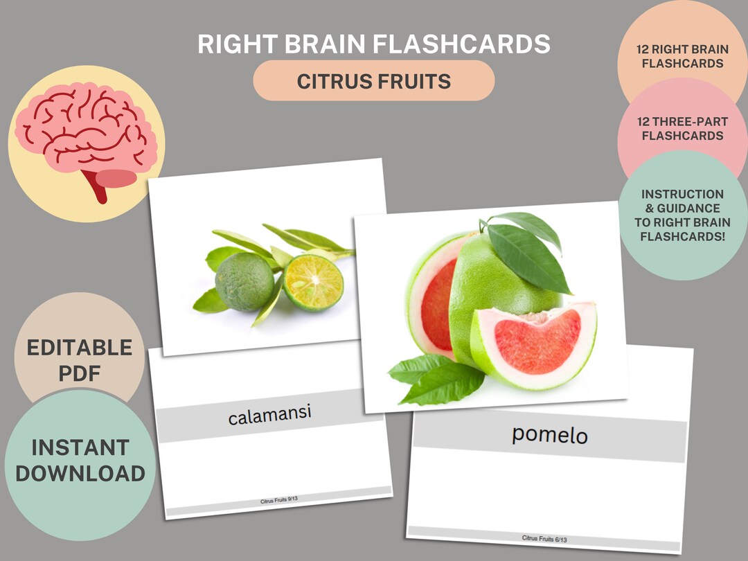 12 Citrus Fruits Flashcards + Right Brain Flashcards + Nomenclature ...