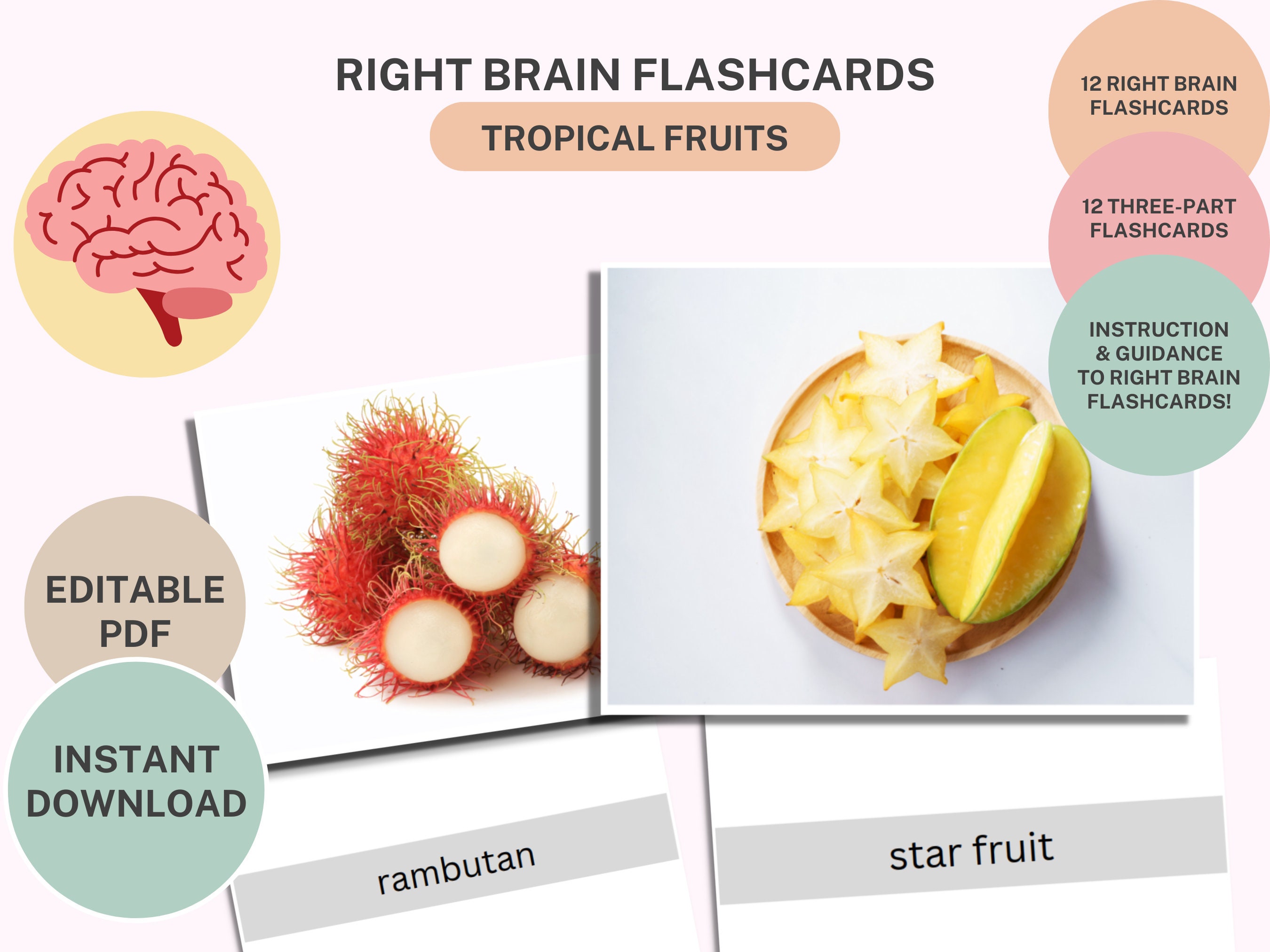 12 Tropical Fruits Flashcards Right Brain Flashcards - Etsy