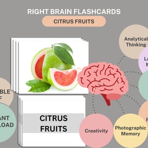 12 Citrus Fruits Flashcards + Right Brain Flashcards + Nomenclature ...