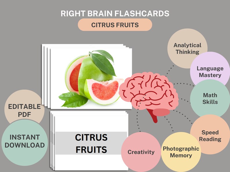 12 Citrus Fruits Flashcards + Right Brain Flashcards + Nomenclature ...