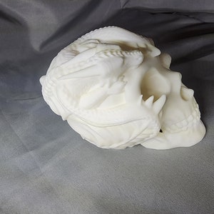 Skull With a Dragon Wrapped Around It Decoration is a Must-have for Any ...
