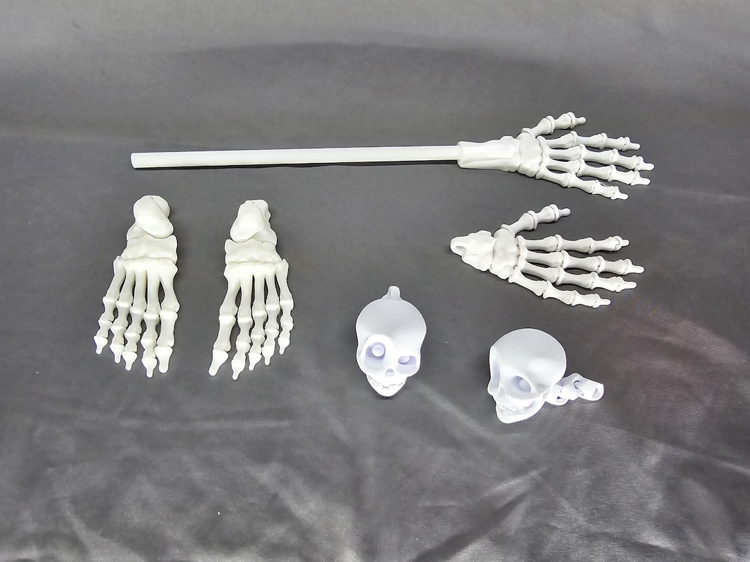 Skeleton Keychains, Articulating Hands, Feet and Heads, We Have Them ...