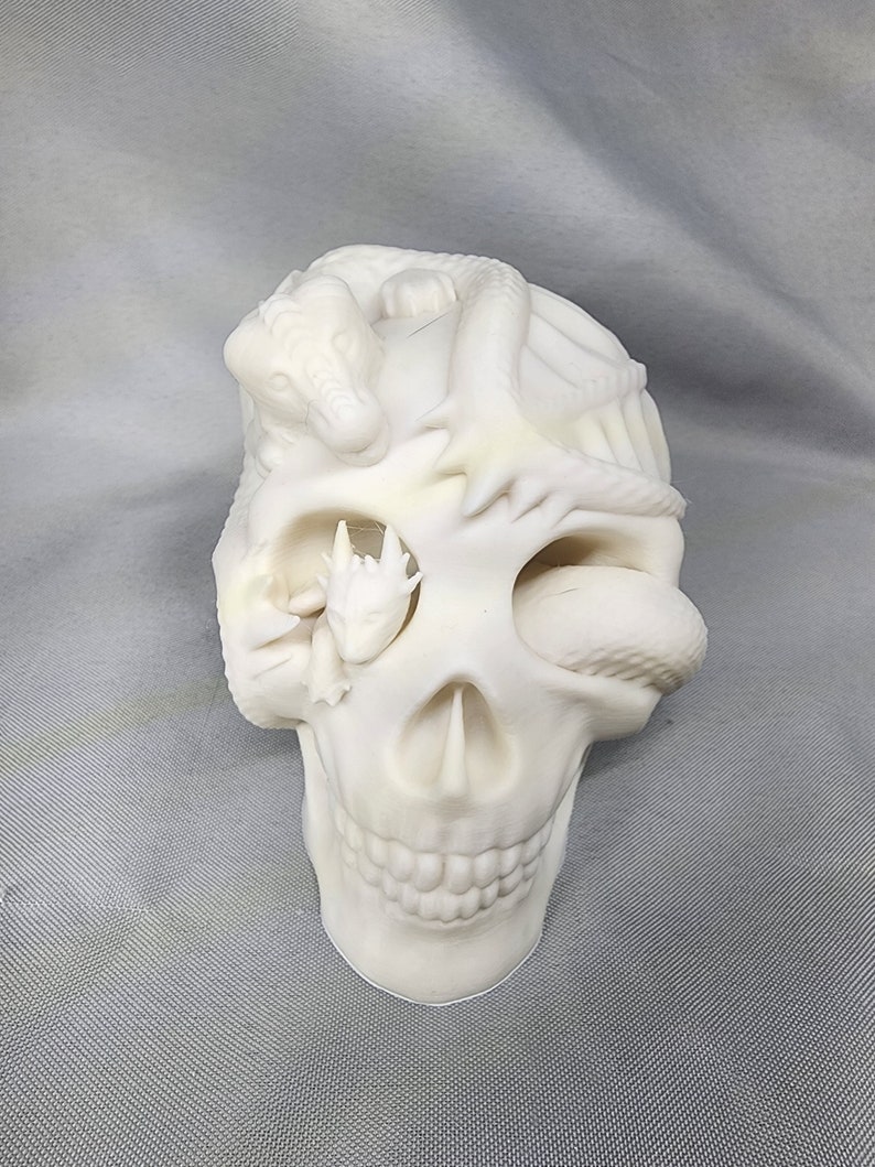Skull With a Dragon Wrapped Around It Decoration is a Must-have for Any ...