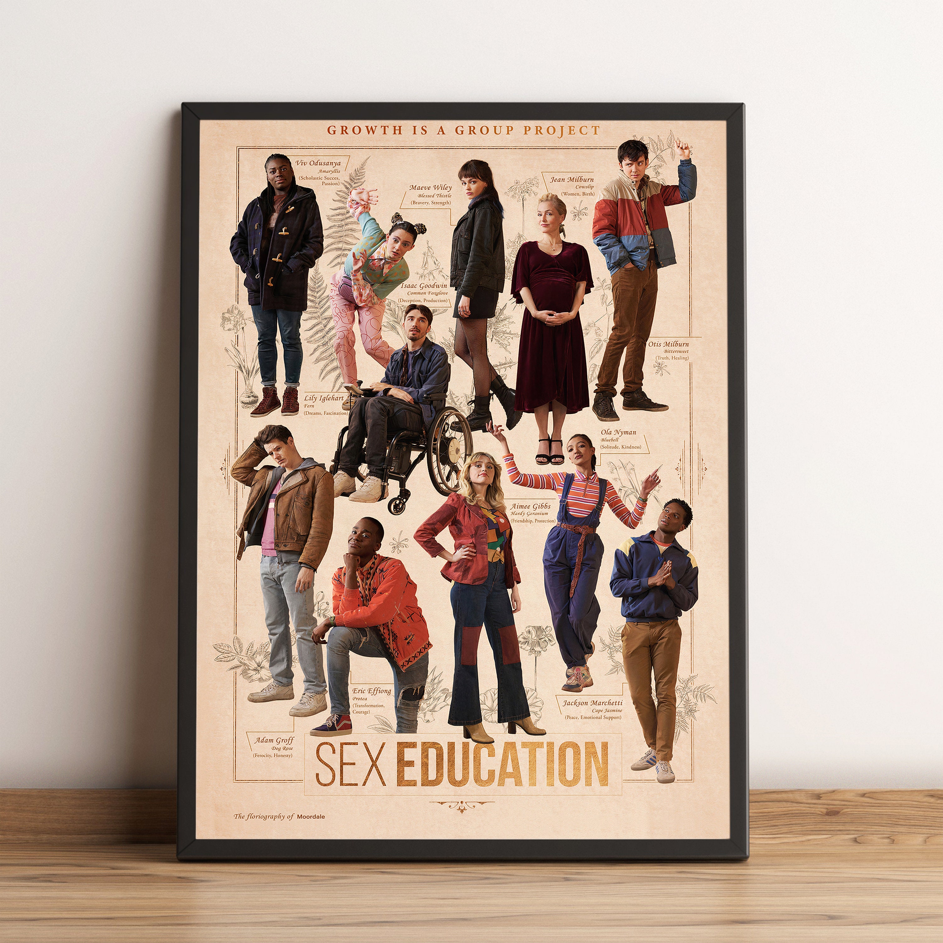 Sex Education Poster, Otis Milburn Wall Art, Asa Butterfield Tv Show ...