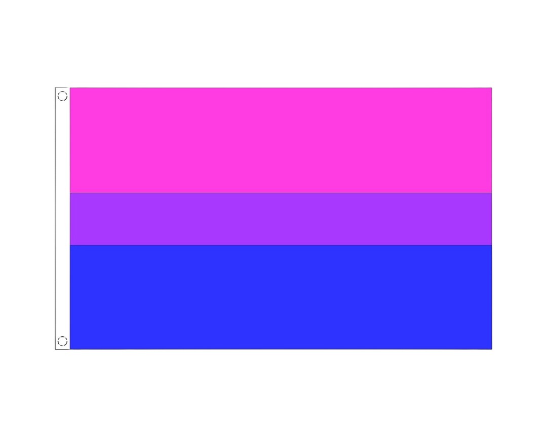 LGBTQ+ Flag - Bisexual Flag - LGBTQ Banner - Bisexual Flag - CSD Banner ...