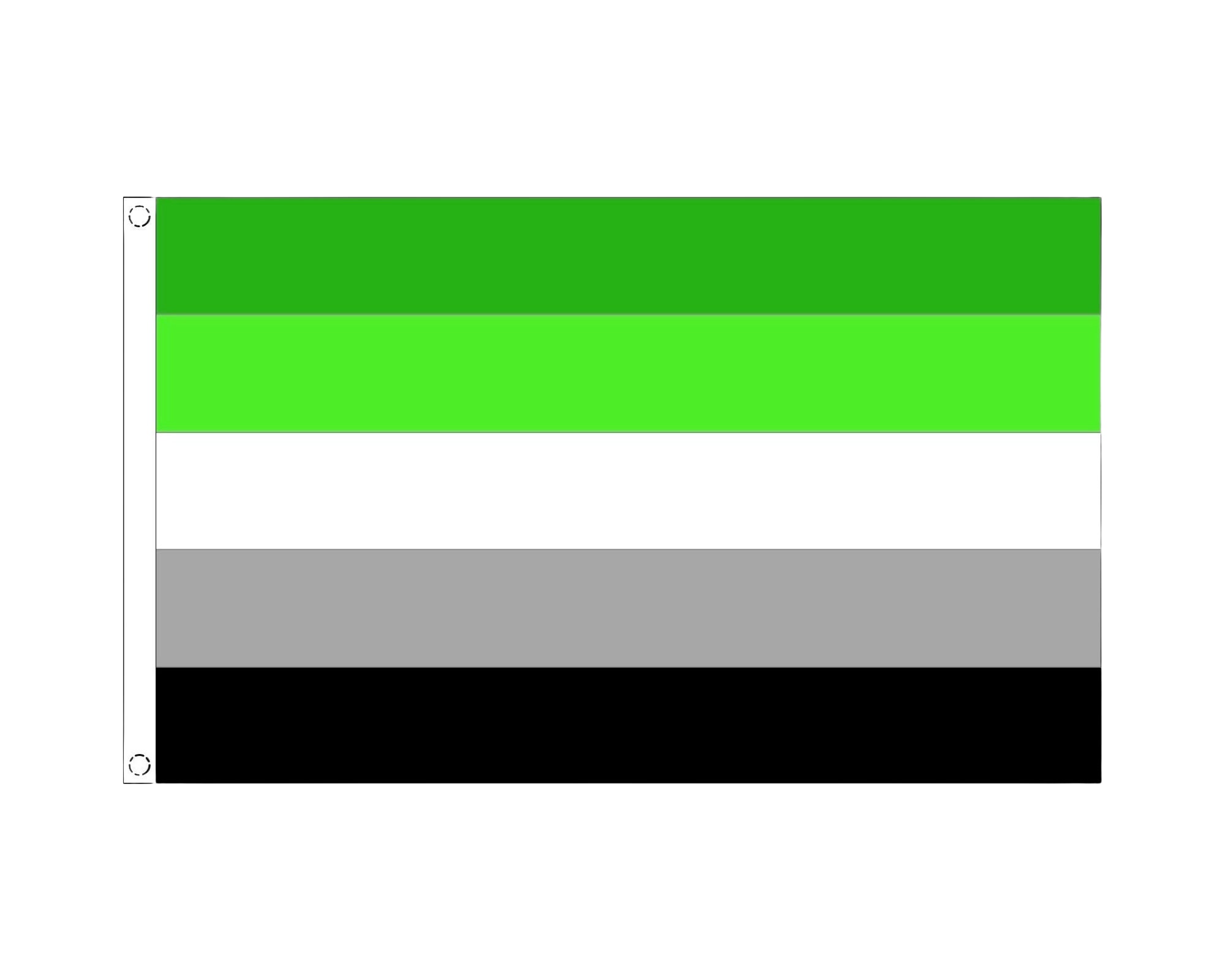 LGBTQ Flag A Romantic Flag LGBTQ Banner Aromantic Flag CSD Banner 90 X ...