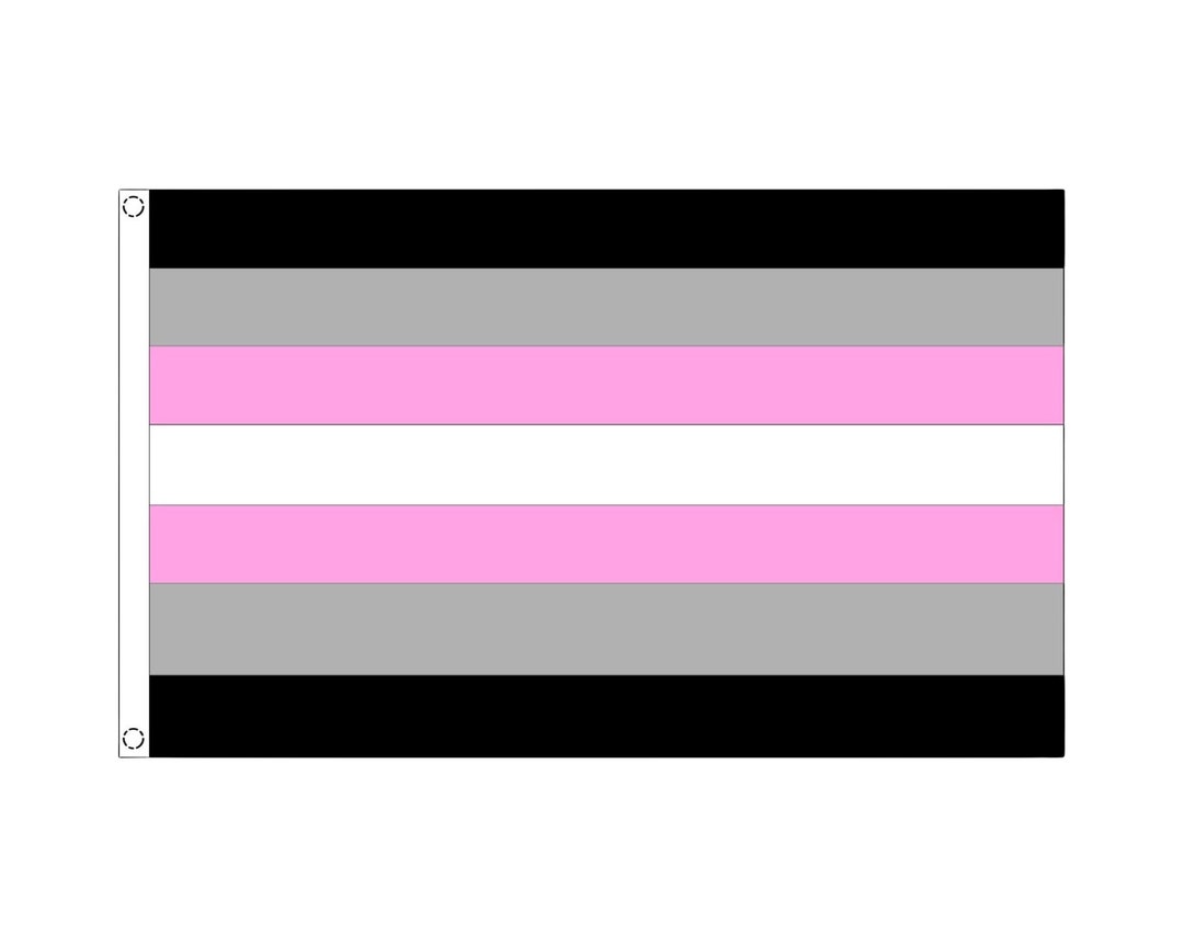 LGBTQ Flag Demigirl Flag LGBTQ Banner Demigirl Flag CSD Banner 90 X 150 ...
