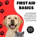 Pet First Aid Ebook - First Aid Basics - First Aid Kit - Pet First Aid ...