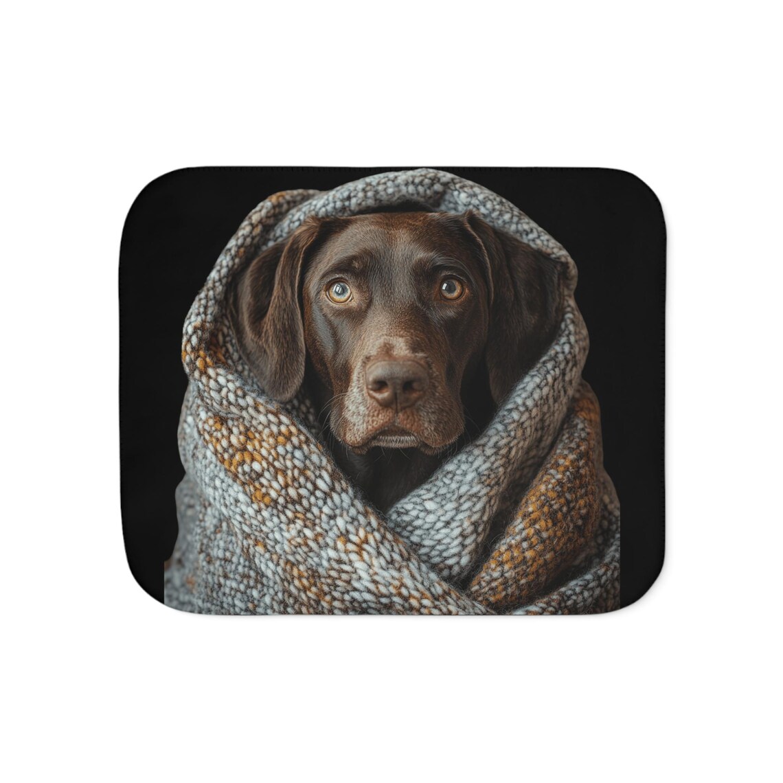 German Shorthaired Pointer GSP Dog Sherpa Blanket - Etsy