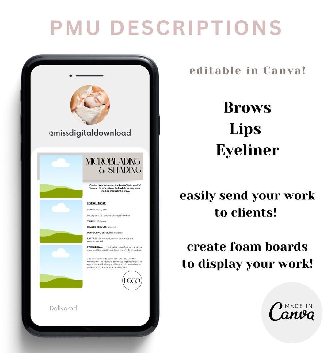 Editable PMU Description Template Brows Lip Blushing Eyeliner for PMU ...