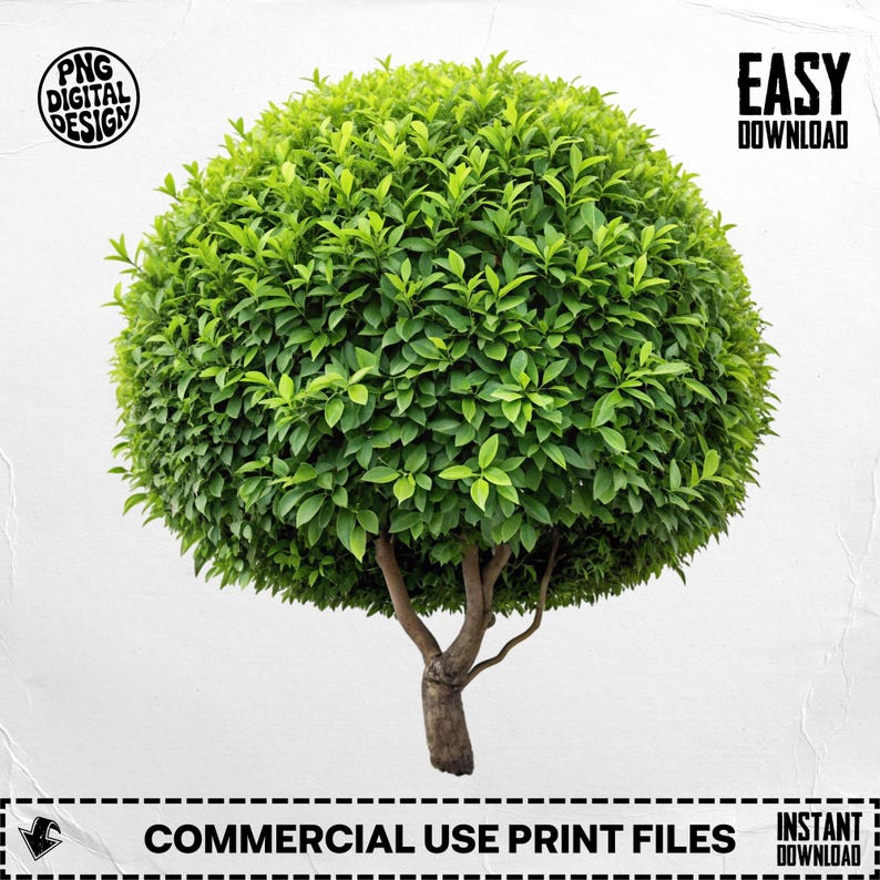Topiary Tree PNG: Round Green Bush Clipart (digital Download) - Etsy