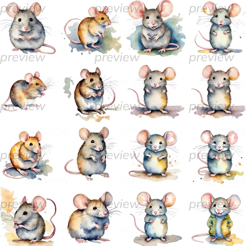 16 Cute Watercolor Mouse Bundle, Mouse PNG Rodent, Dormouse PNG Hamster ...