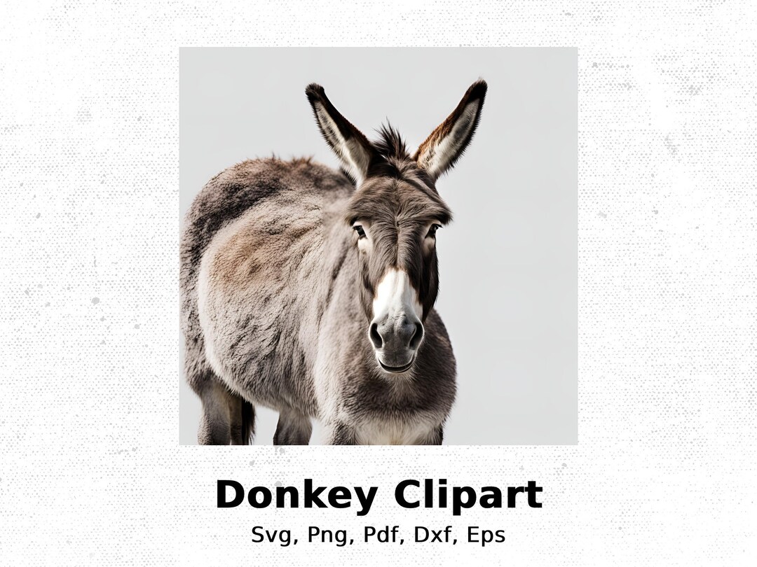 Donkey Clipart Svg, Png, Pdf, Dxf, Eps, Farm Animal Clip Art, Rustic ...