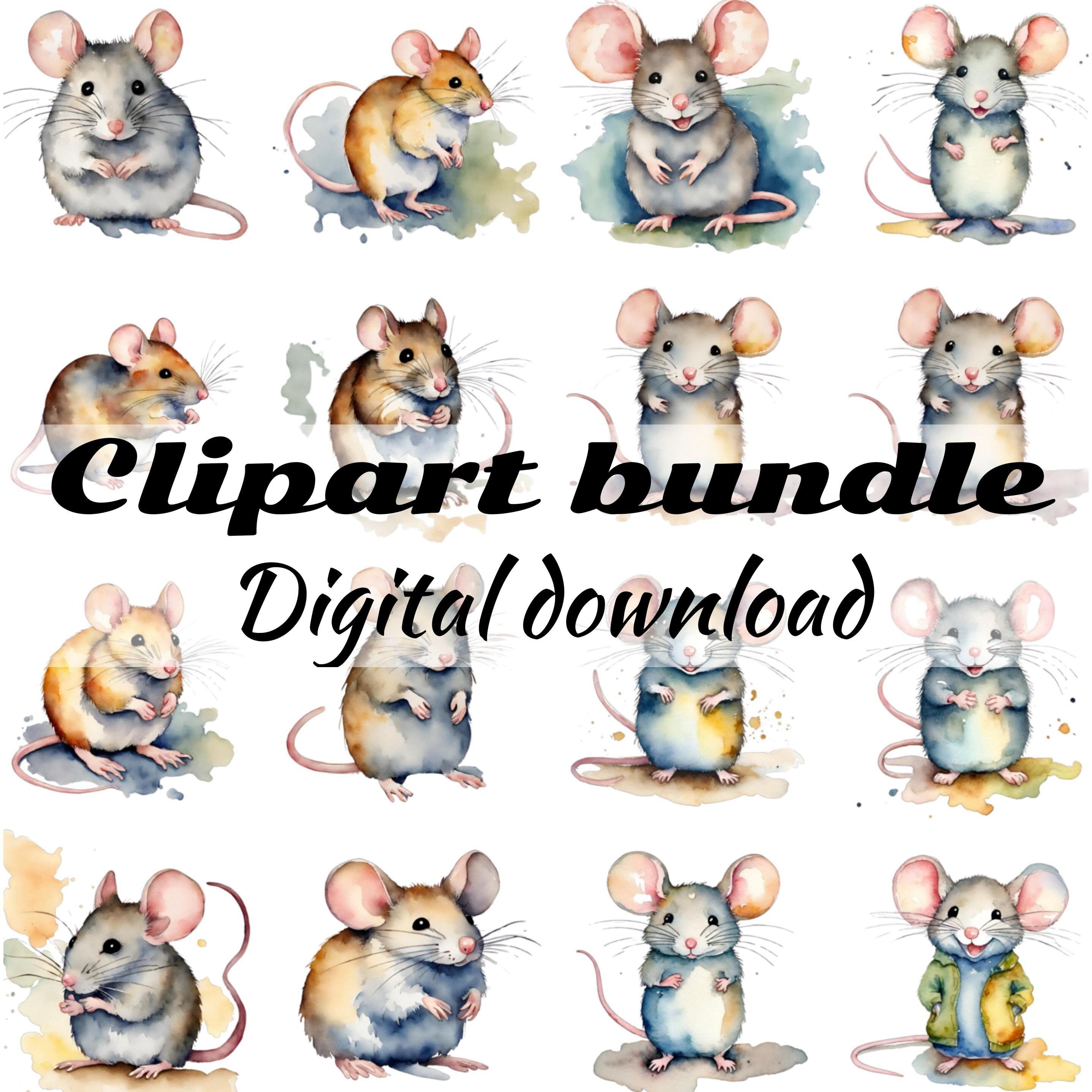 16 Cute Watercolor Mouse Bundle, Mouse PNG Rodent, Dormouse PNG Hamster ...