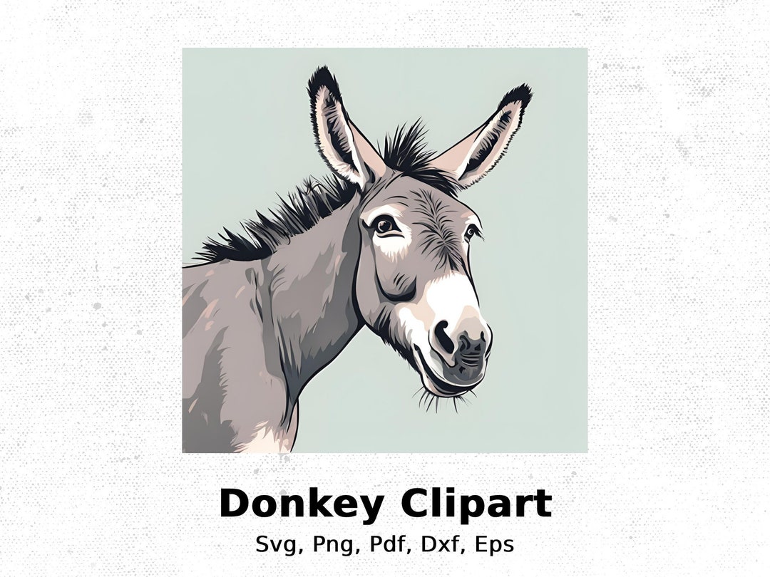 Donkey Clipart: Farm Animal Illustration (digital Download) - Etsy