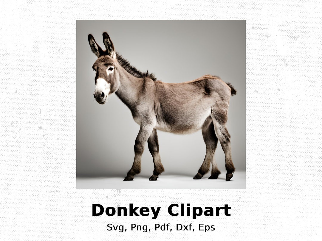 Donkey Clipart: Farm Animal Illustration (digital Download) - Etsy