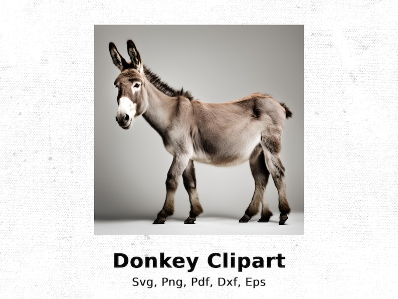 Donkey Clipart: Farm Animal Illustration (digital Download) - Etsy
