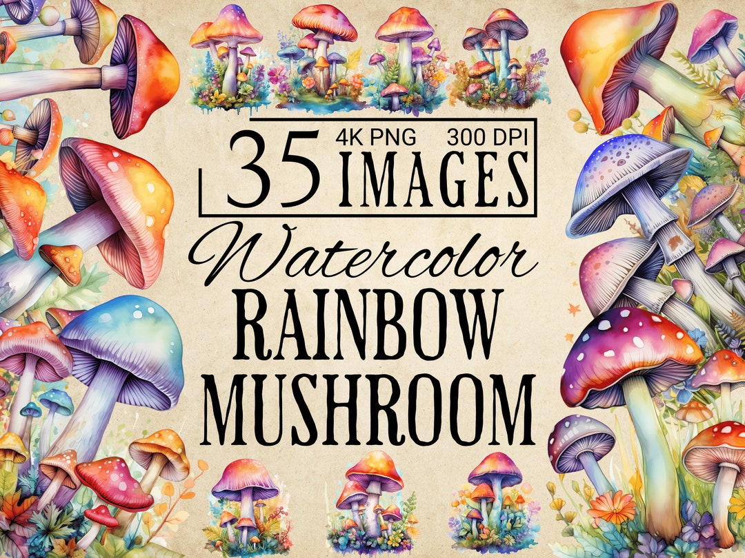 35 PNG Watercolor Rainbow Mushrooms Clipart, Magic Mushrooms, High ...