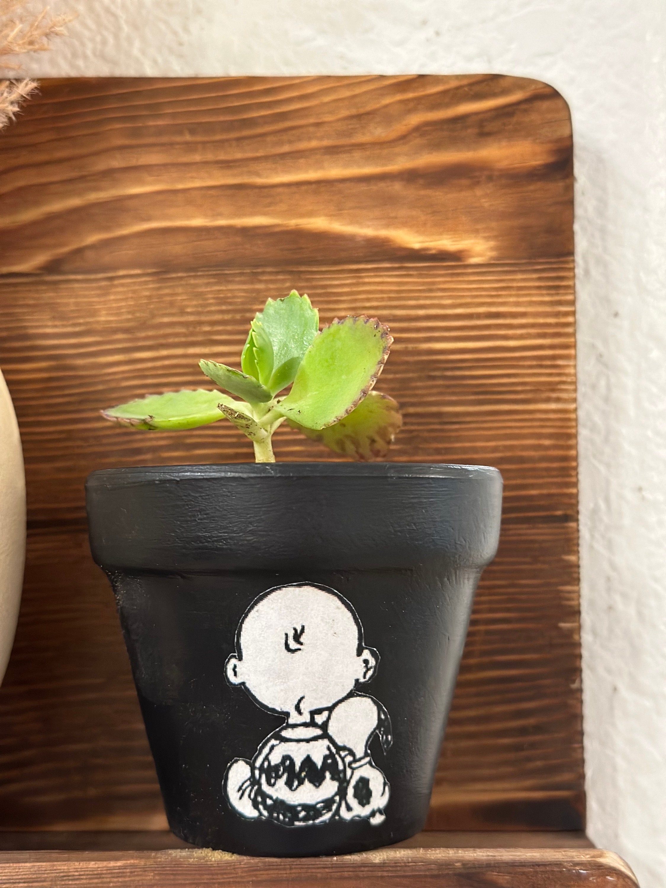 Snoopy & Charlie Brown Pot - Etsy