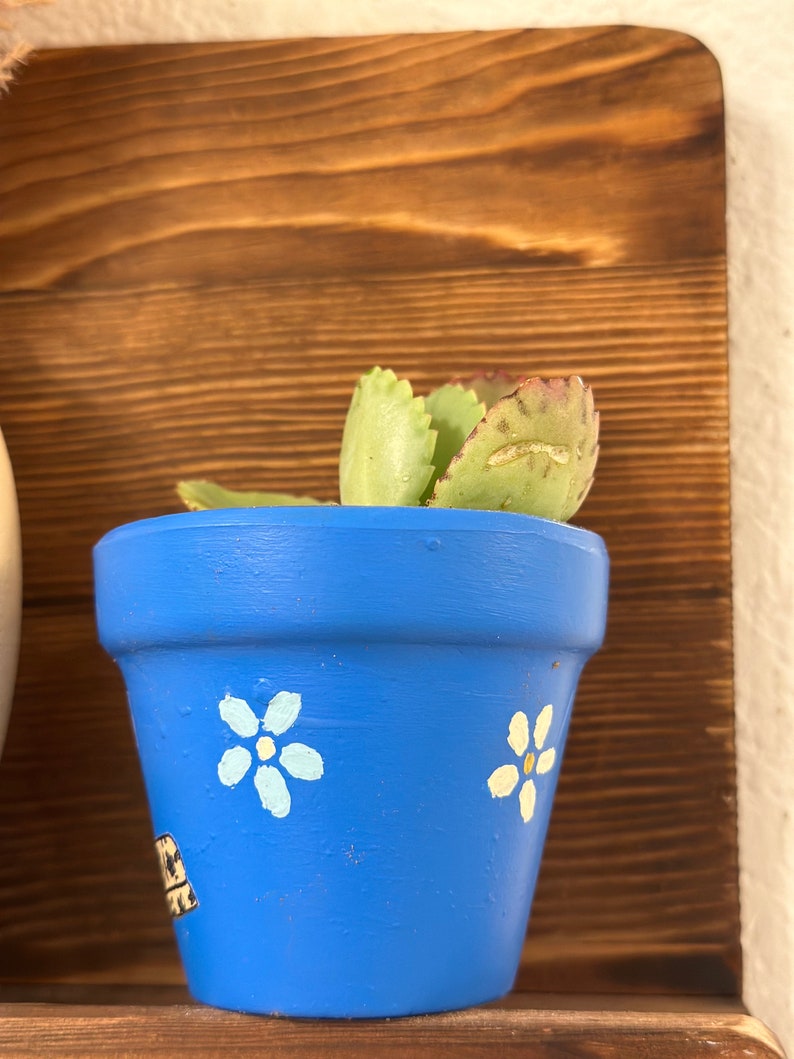 Snoopy Nap Time Pot - Terracotta Clay Pot - Hand Painted Planter With ...