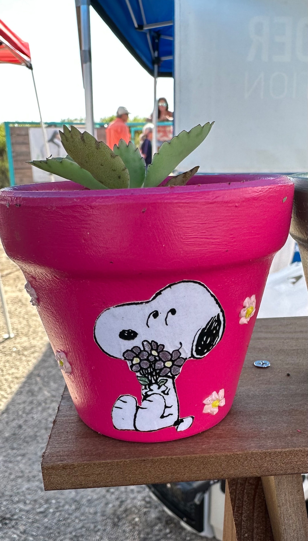 Hand Painted Snoopy Terracotta Pots - Etsy
