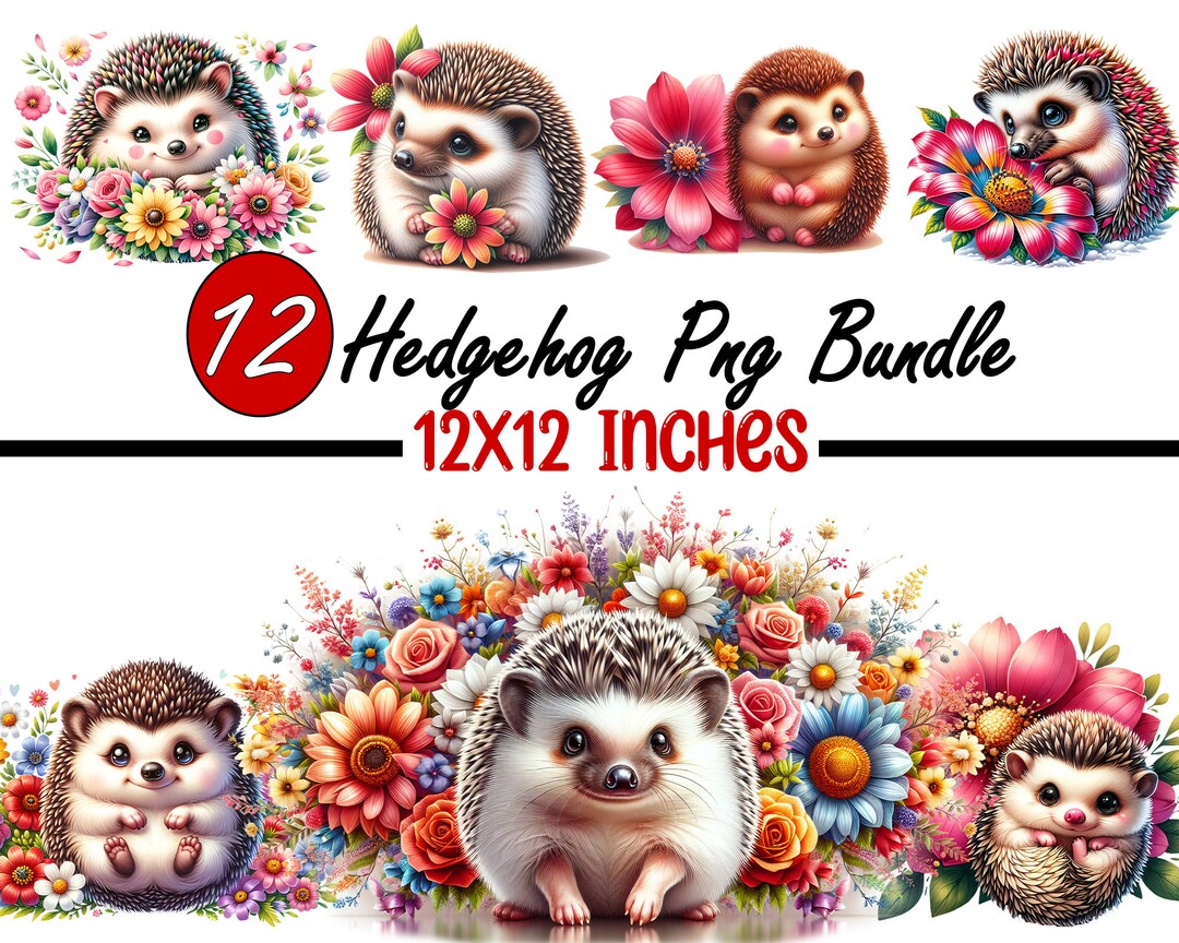 Cute Hedgehog Png Bundle With Flowers, Watercolor Clipart for Card ...