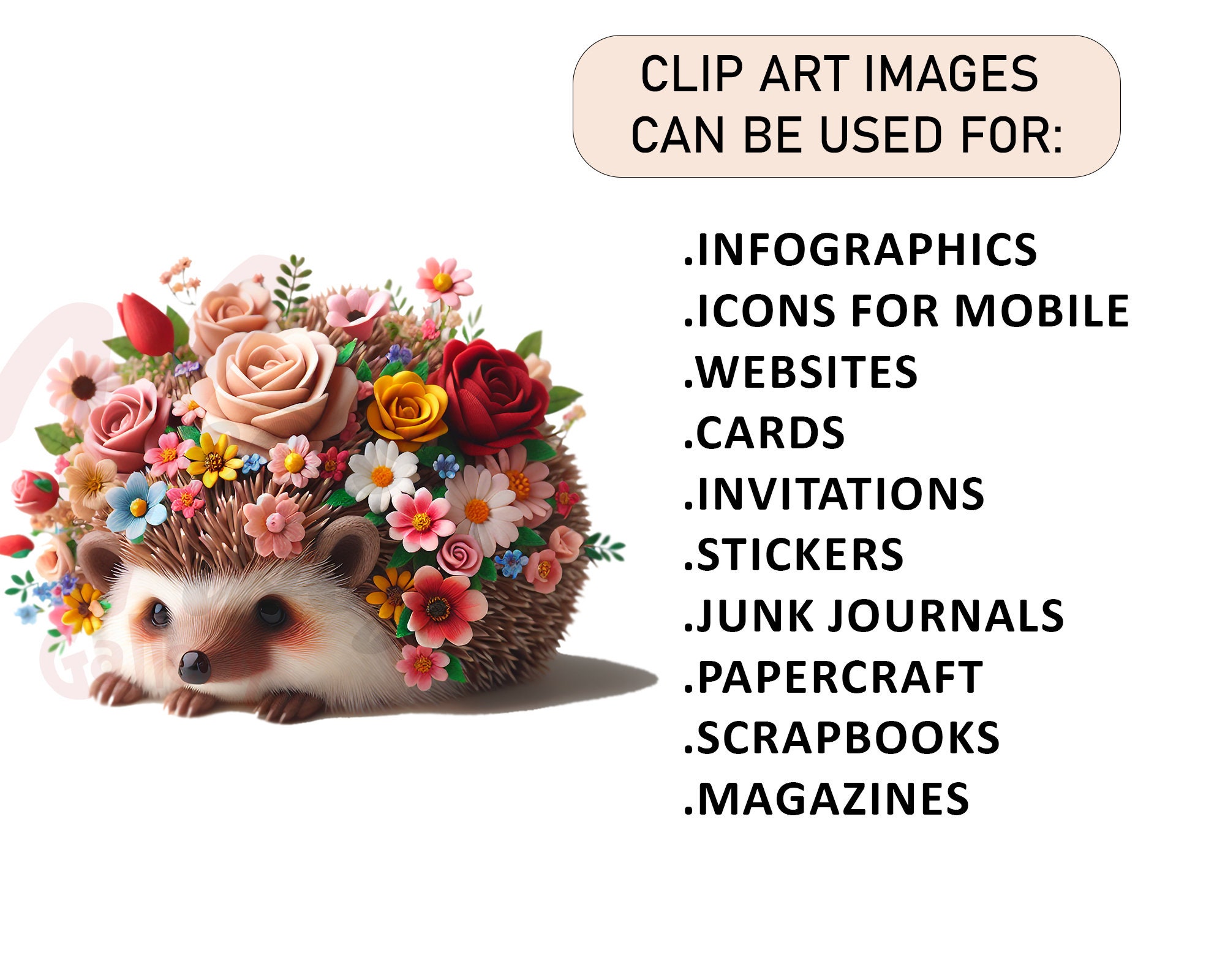 Cute Hedgehog Png Bundle With Flowers, Watercolor Clipart for Card ...