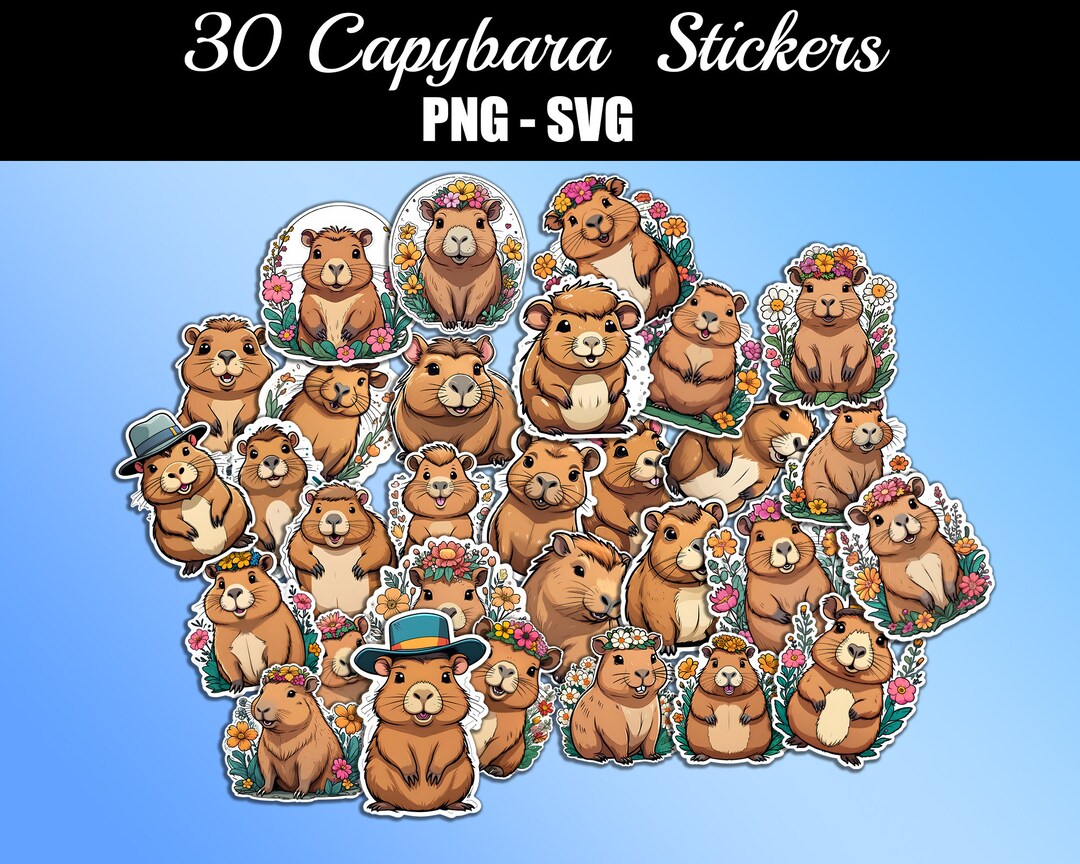 30X Capybara Stickers Clipart Svg, Png, Cut Sublimation Pack Design ...