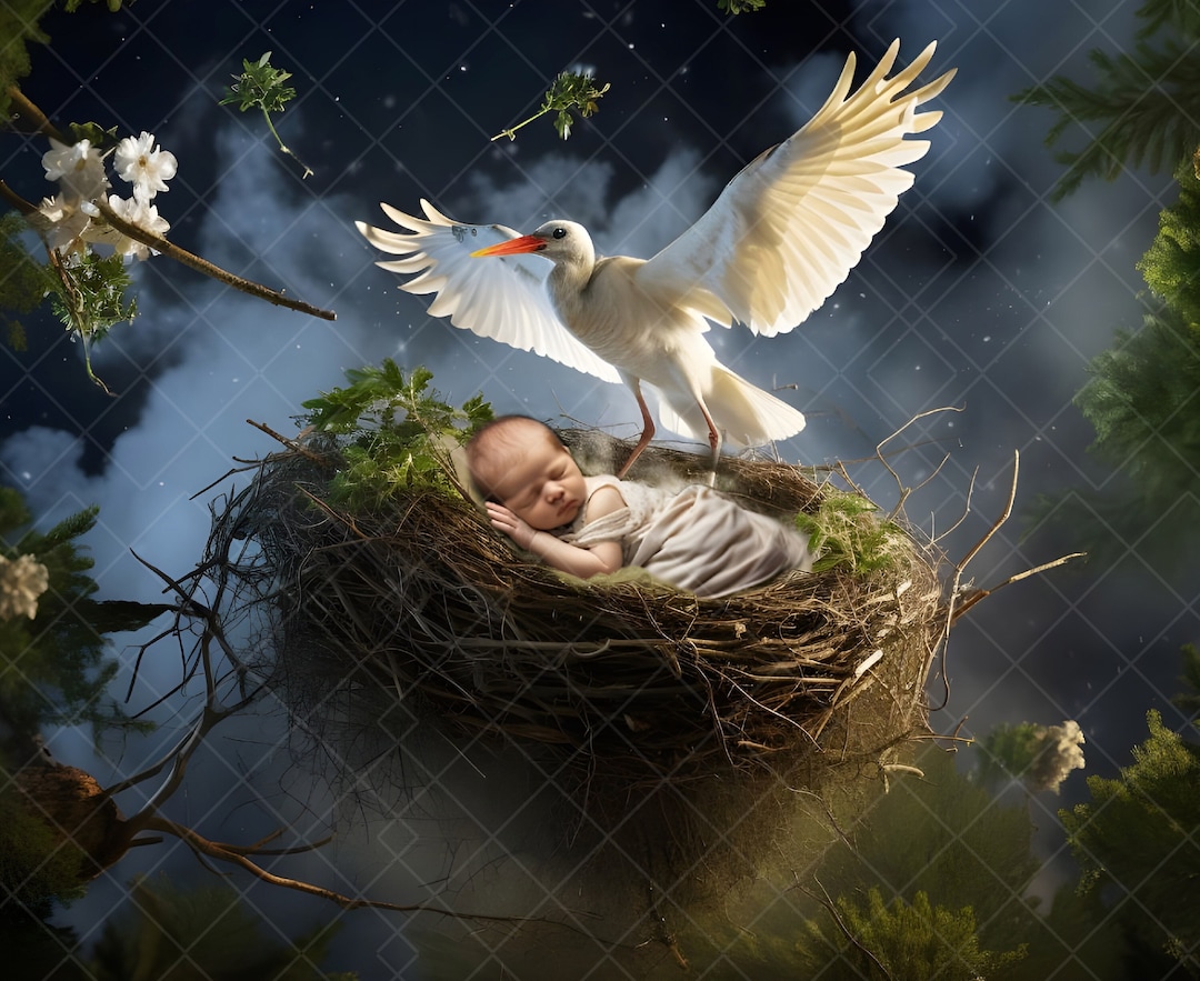 Stork's Nest Newborn Digital Backdrop: Bird's Nest Scene for Baby Girl ...