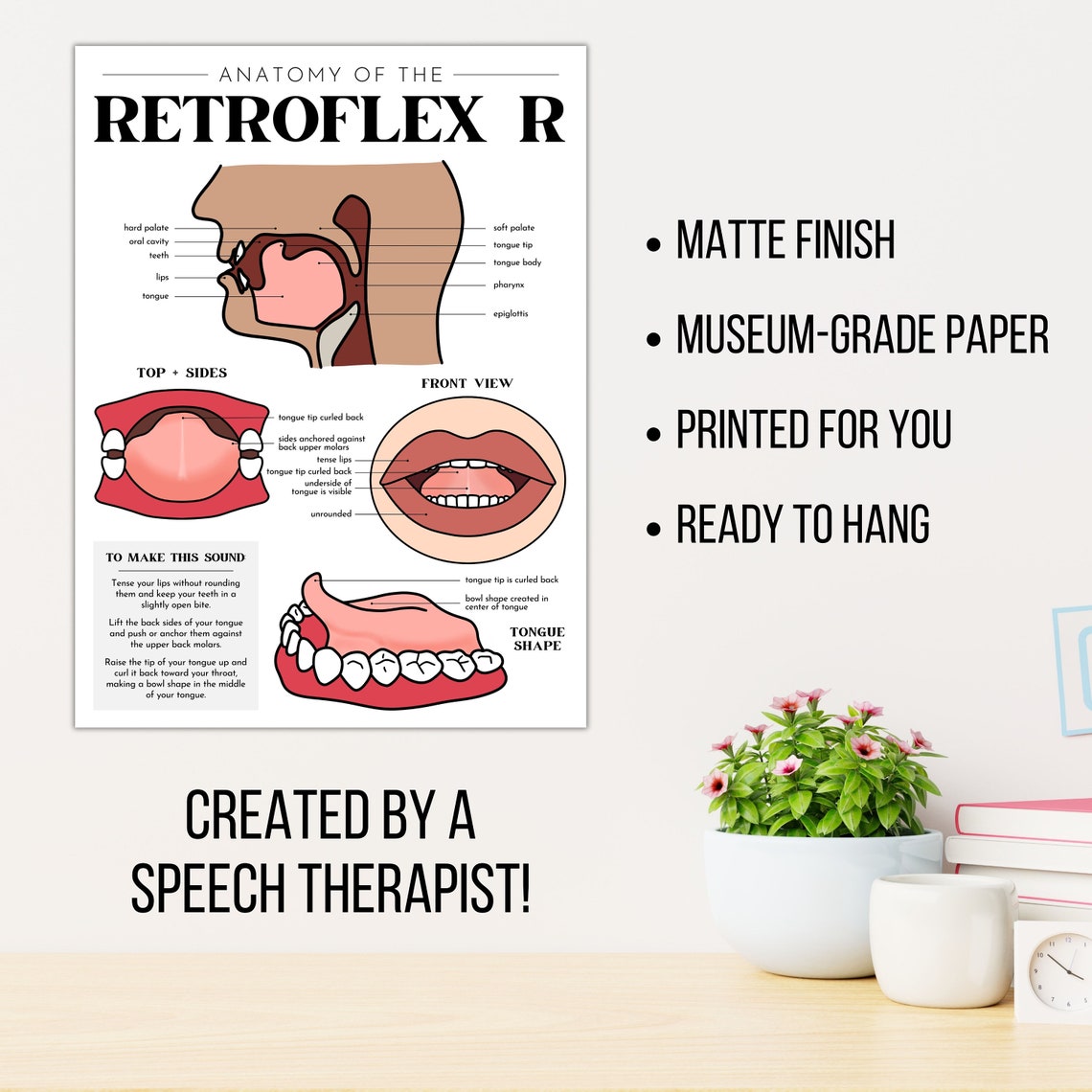 Anatomy of the Retroflex R Speech Sound Poster, Speech Sound Cue Poster ...