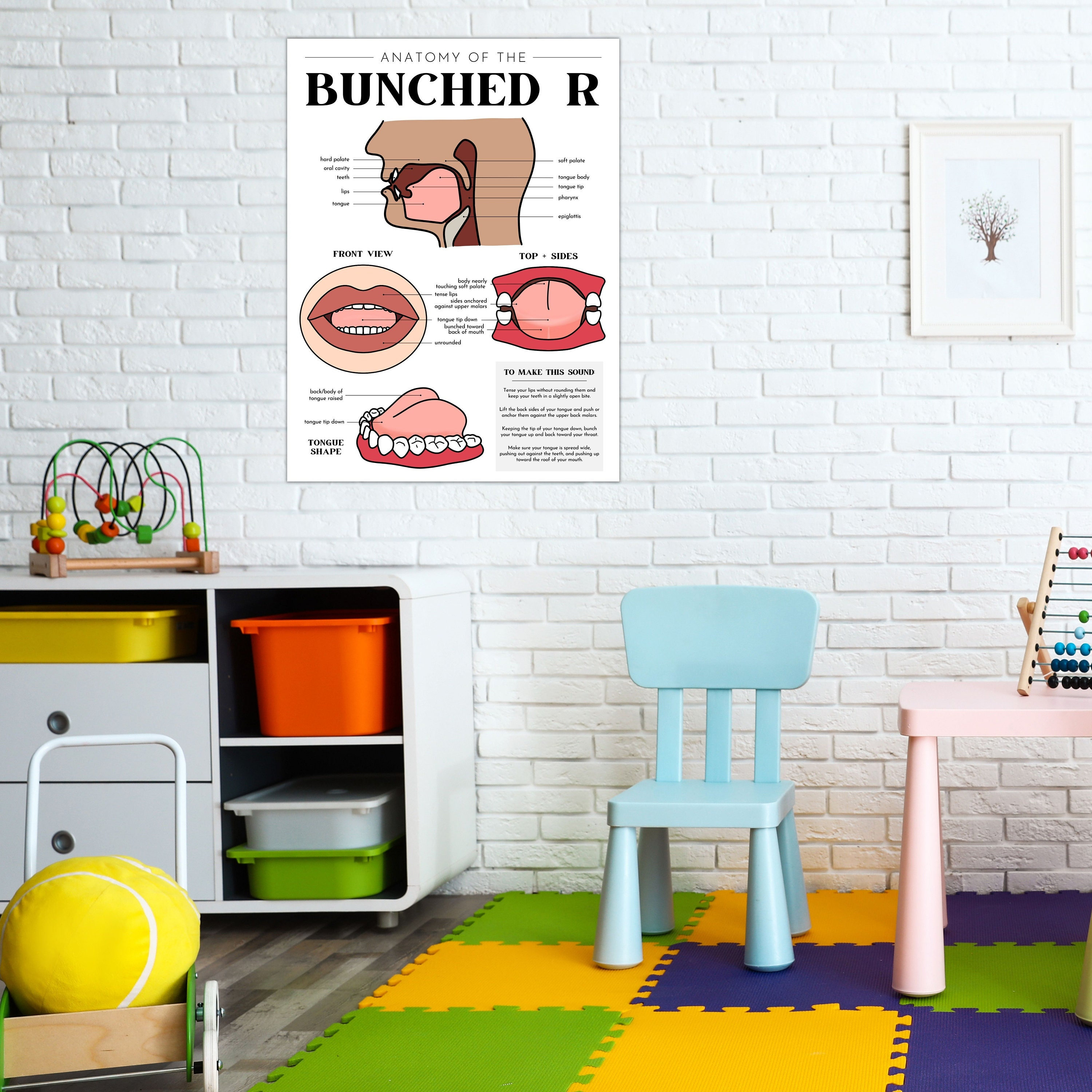 Anatomy of the Bunched R Speech Sound Poster, Speech Sound Cue Poster ...